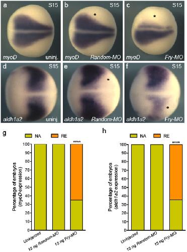 Paraxial Deficiency